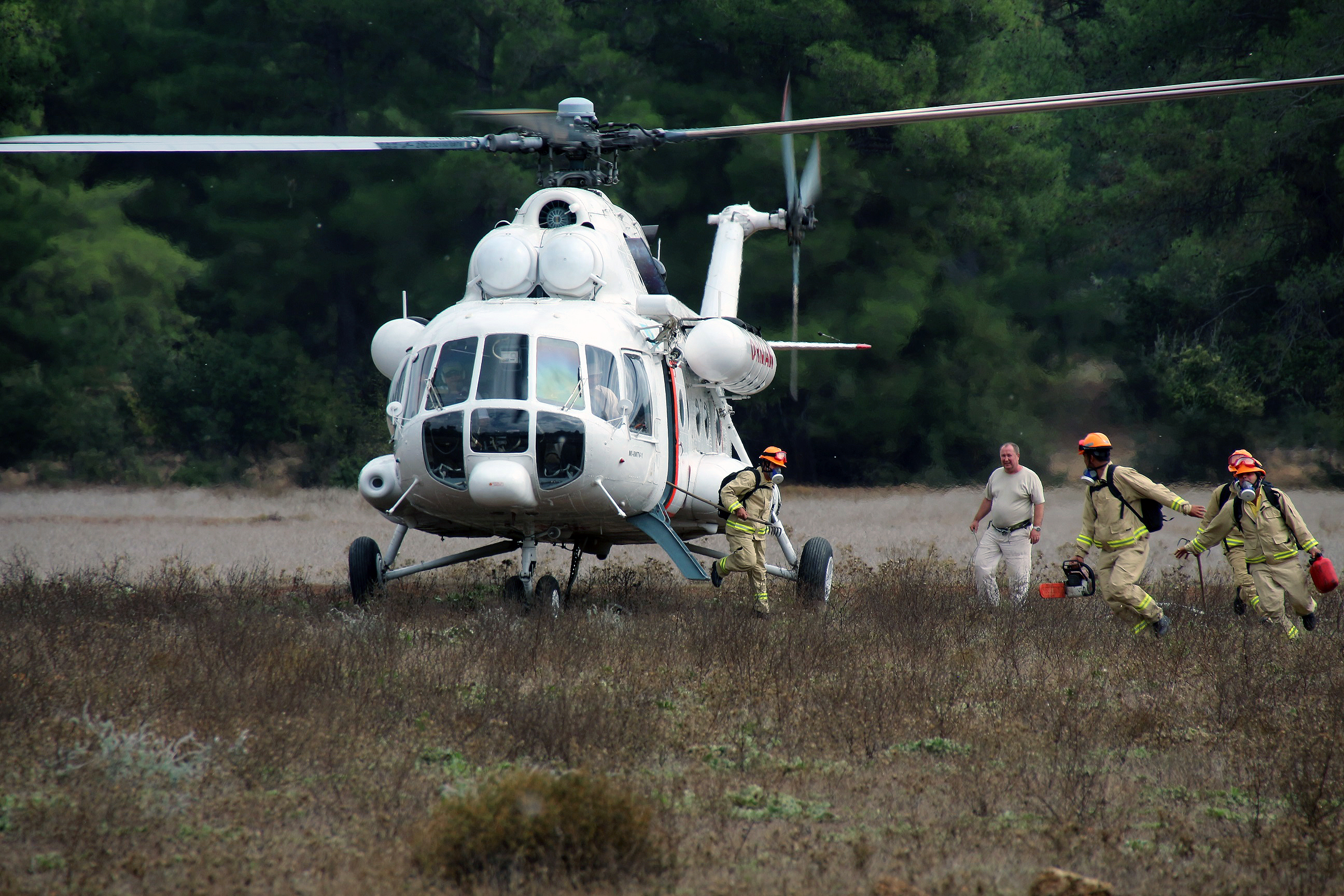 299456 | Organization for Security and Co-operation in Europe