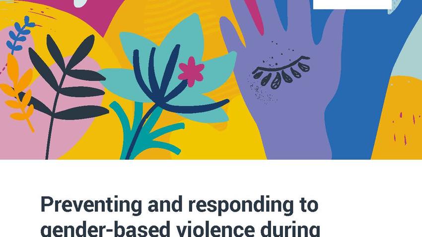 Toolkit: Preventing and responding to gender-based violence during the ...